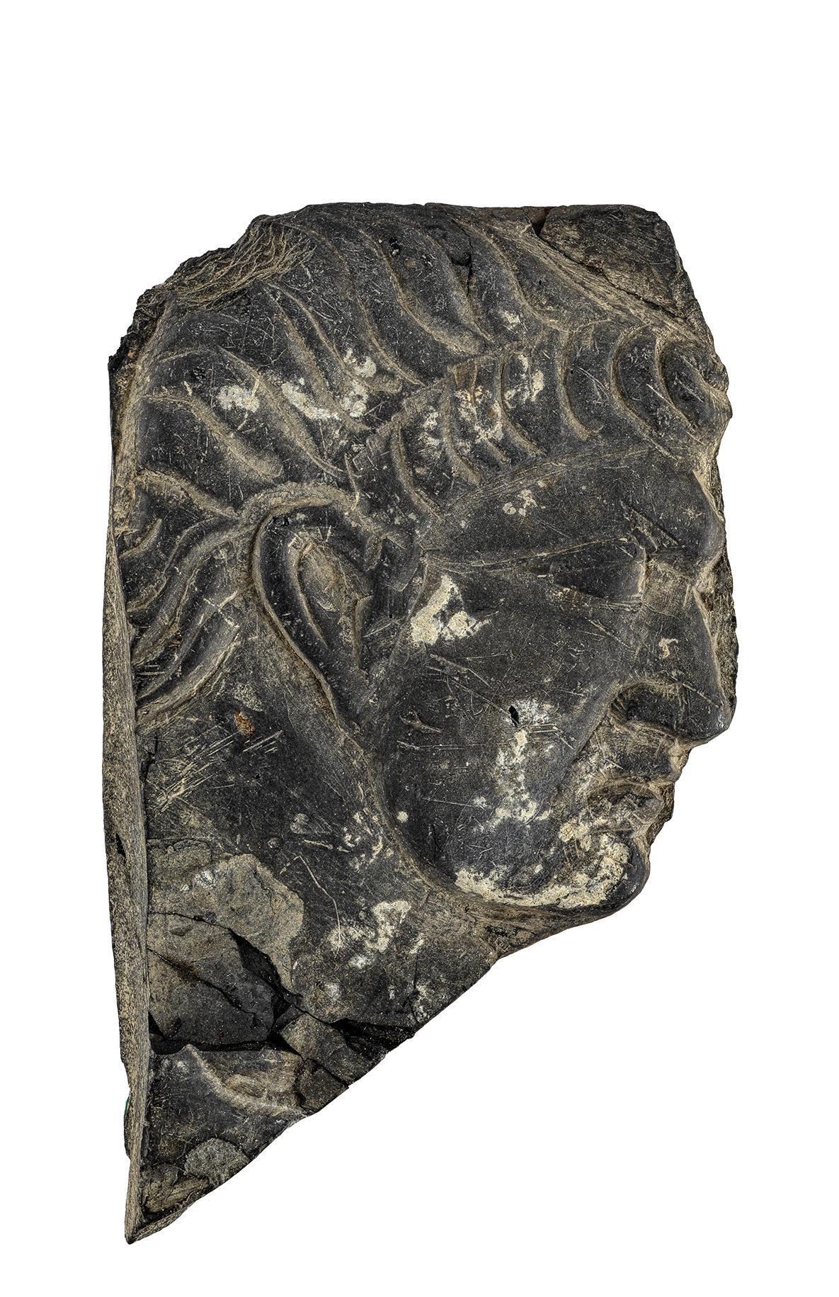 Le schiste bitumeux d'Autun | Musée d'Archéologie nationale